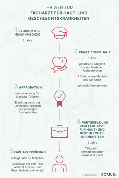 Dauer der Facharztausbildung [anhand Beispielen erklärt]